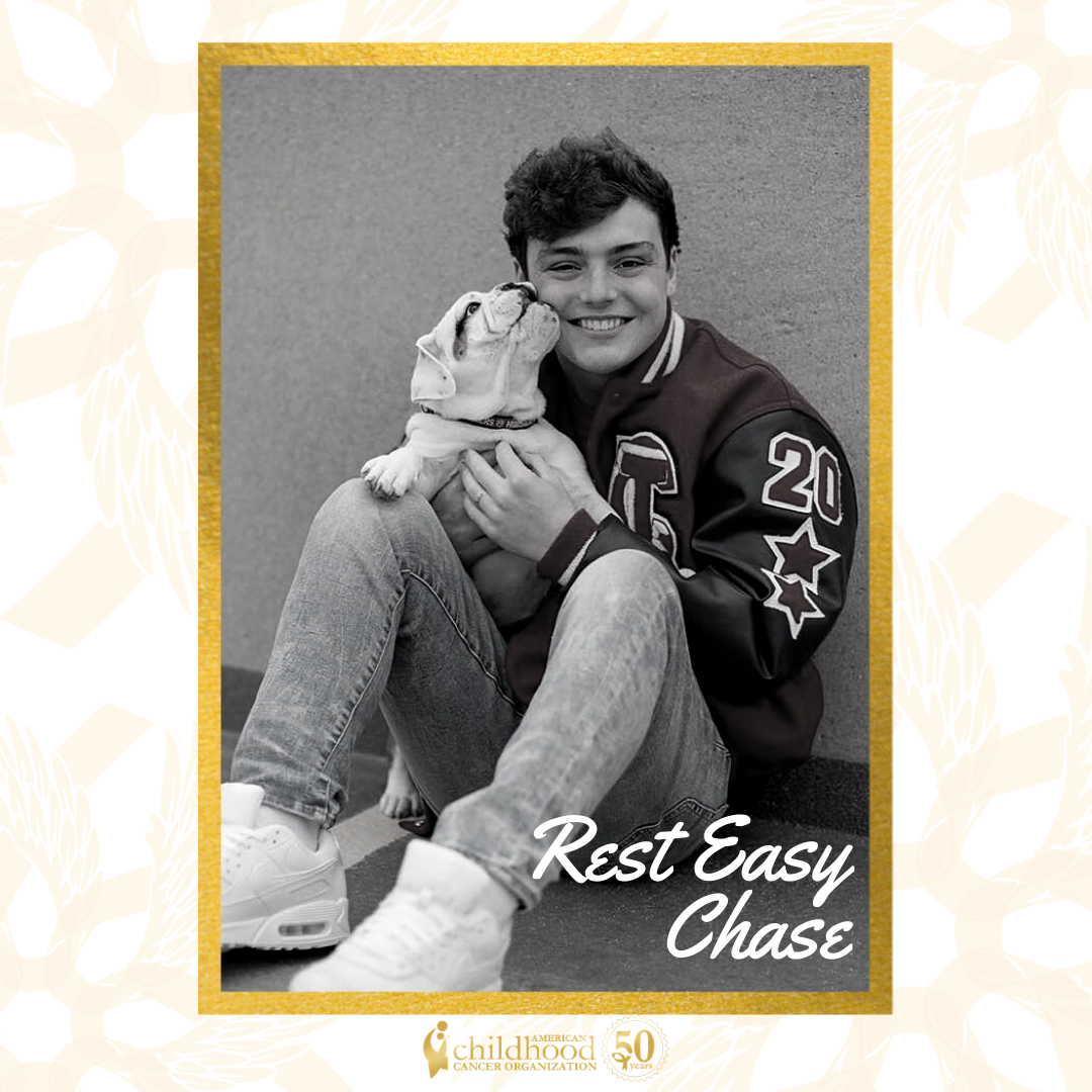 Gold Ribbon Hero: Chase - ACCO