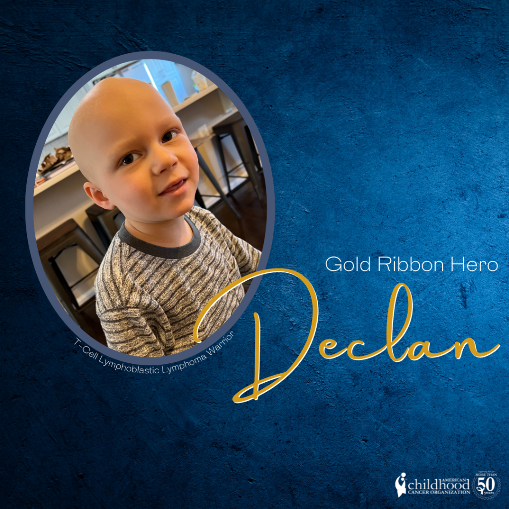 Gold Ribbon Hero: Declan - ACCO