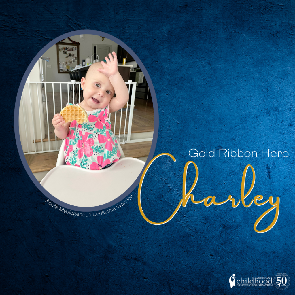 Gold Ribbon Hero: Charley - ACCO