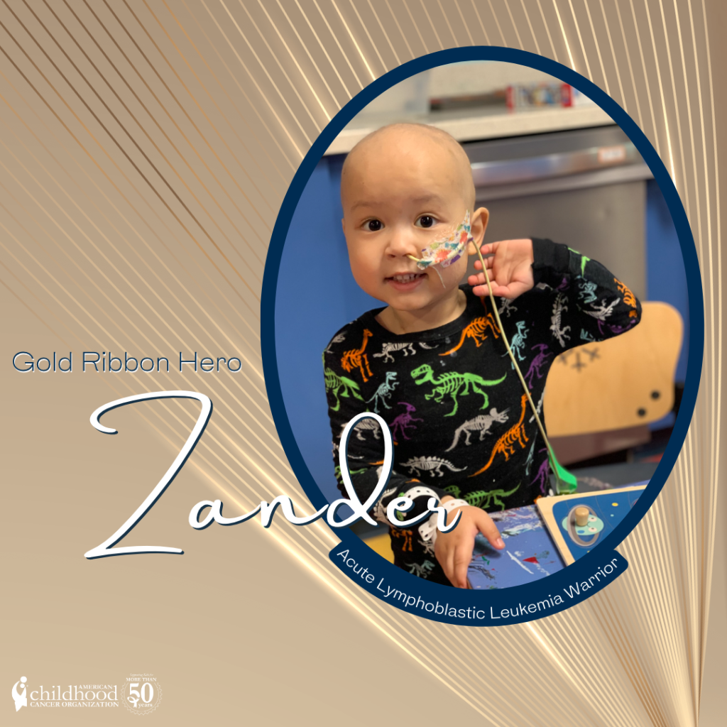 Gold Ribbon Hero: Zander - ACCO