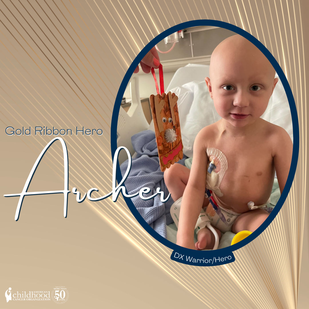 Gold Ribbon Hero: Archer - ACCO