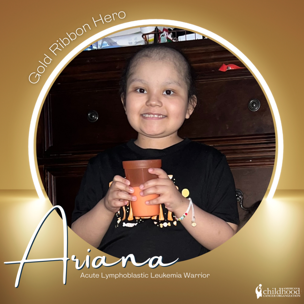 Gold Ribbon Hero: Ariana - ACCO