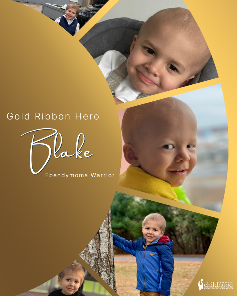 Gold Ribbon Hero: Blake - ACCO