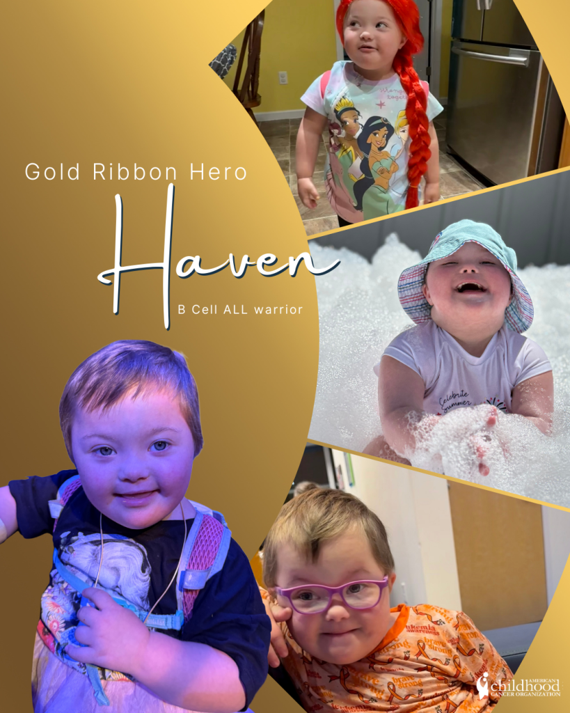 Gold Ribbon Hero: Haven - ACCO